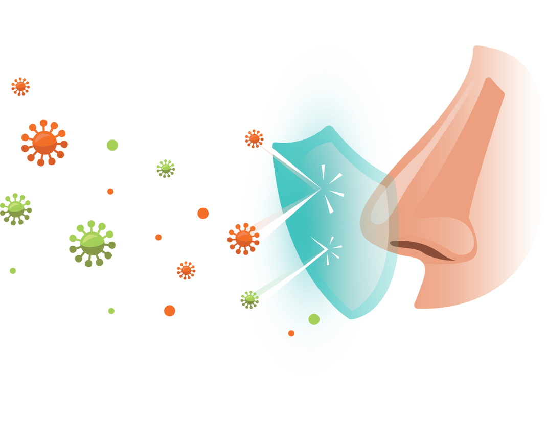Profi Nasal Spray - Elevate Your Defense Against Airborne Germs